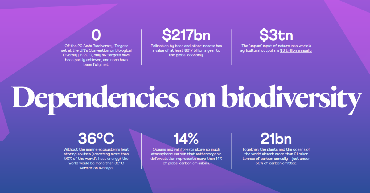 Why every business needs to consider biodiversity risk and opportunity ...