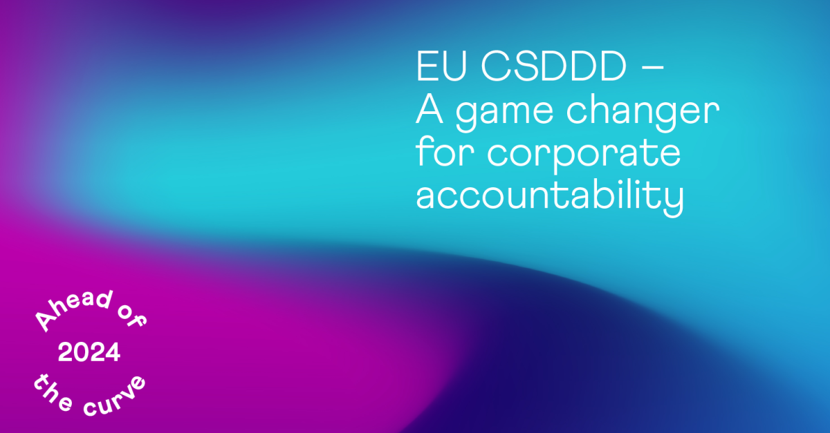 EU CSDDD – A game changer for corporate accountability - Ever Sustainable